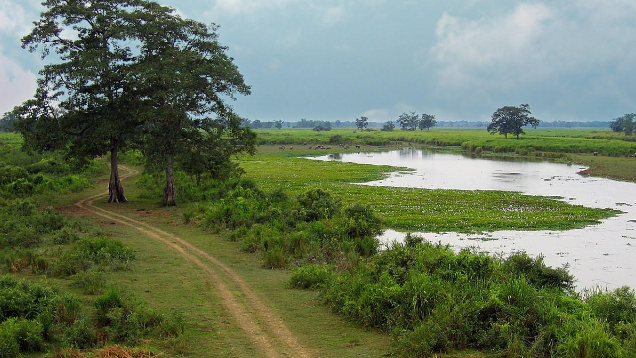 An Overview Of National Parks In Assam: Exam Perspective » Gkfunda